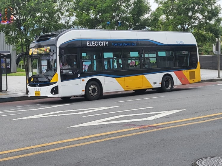 대원운수 운림51번 : 네이버 블로그