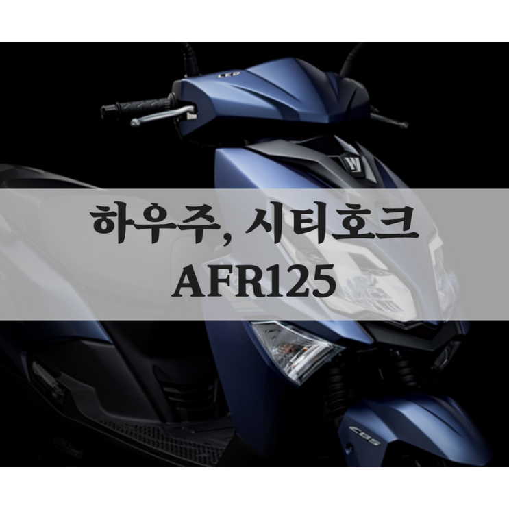 도시형 스쿠터 ★ 하우주, 시티호크 (AFR125) : 네이버 블로그