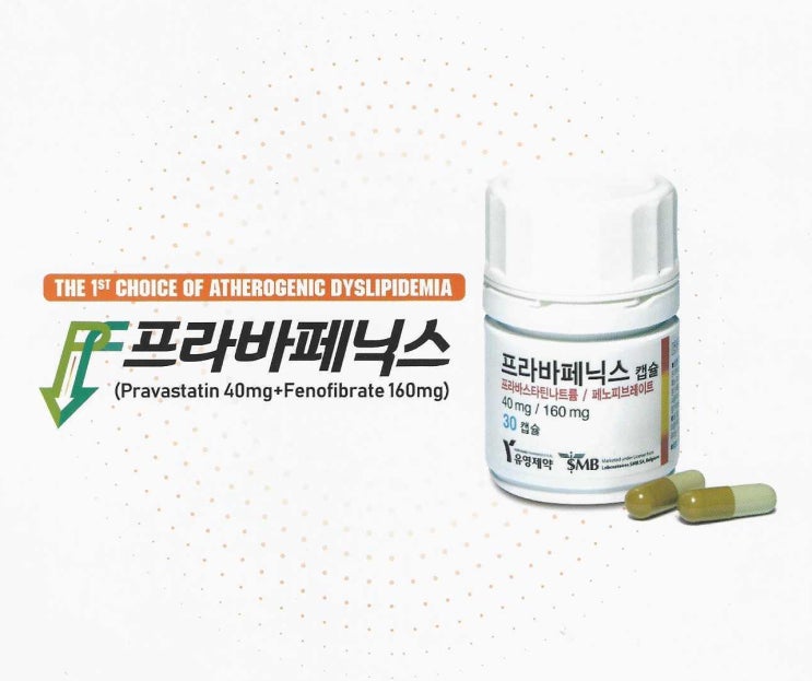 프라바페닉스캡슐 [복합형 이상지질혈증 치료제] : 네이버 블로그