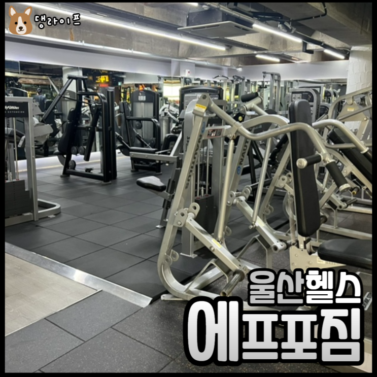 울산 삼산동 헬스 가성비 갑 울산pt 잘하는 곳 에프포짐 네이버 블로그