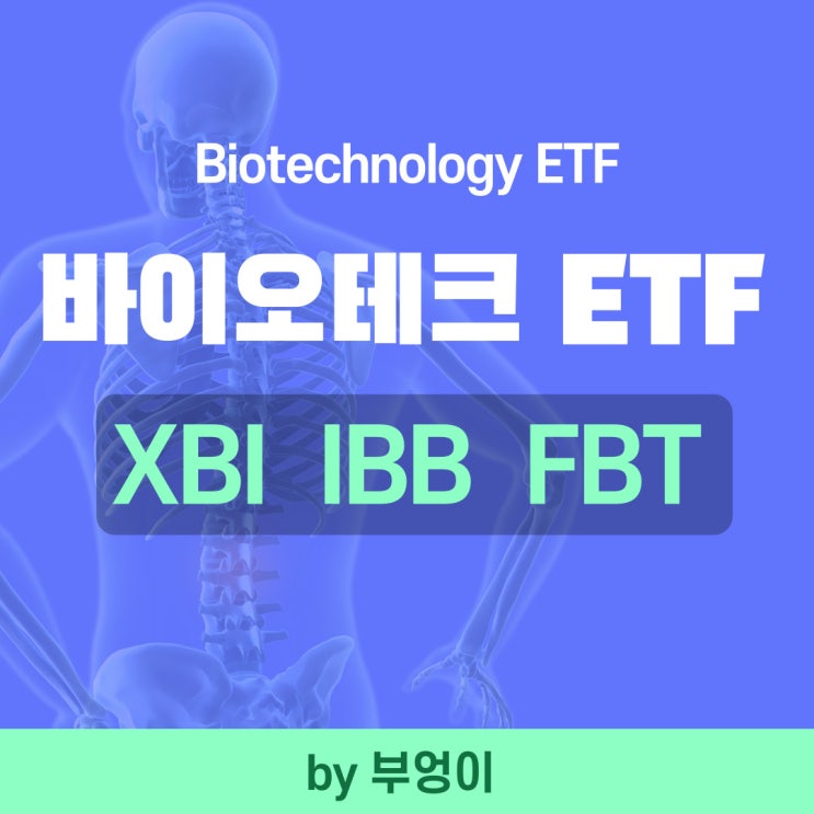 미국 바이오테크 ETF - XBI, IBB, FBT (생명공학, Biotechnology) : 네이버 블로그