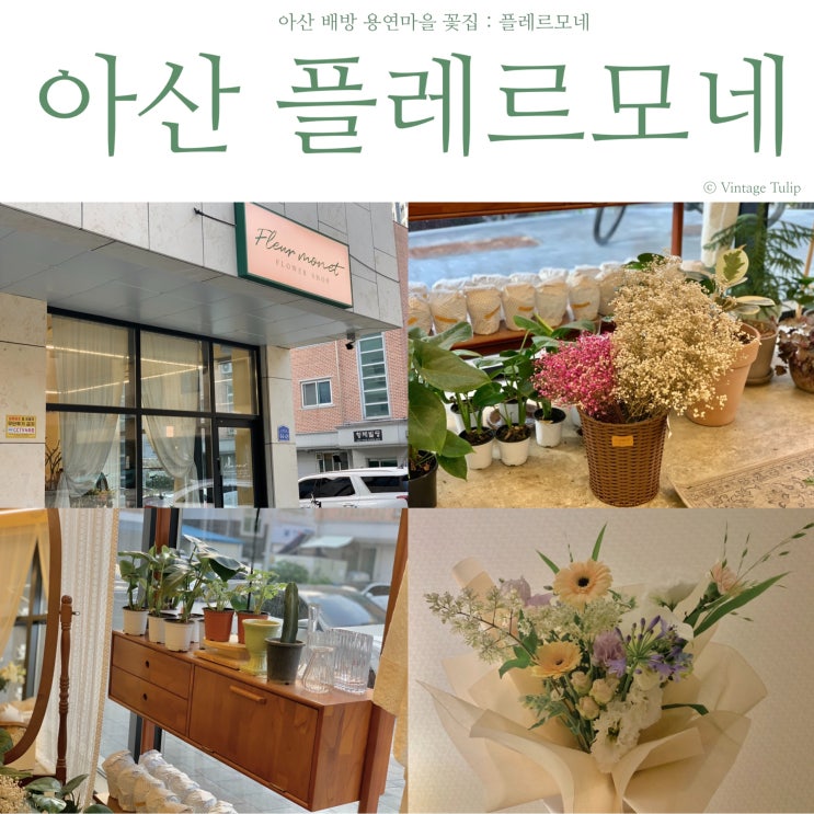 아산 배방 꽃집 탕정역 근처 플레르모네 예쁜 꽃다발 네이버 블로그