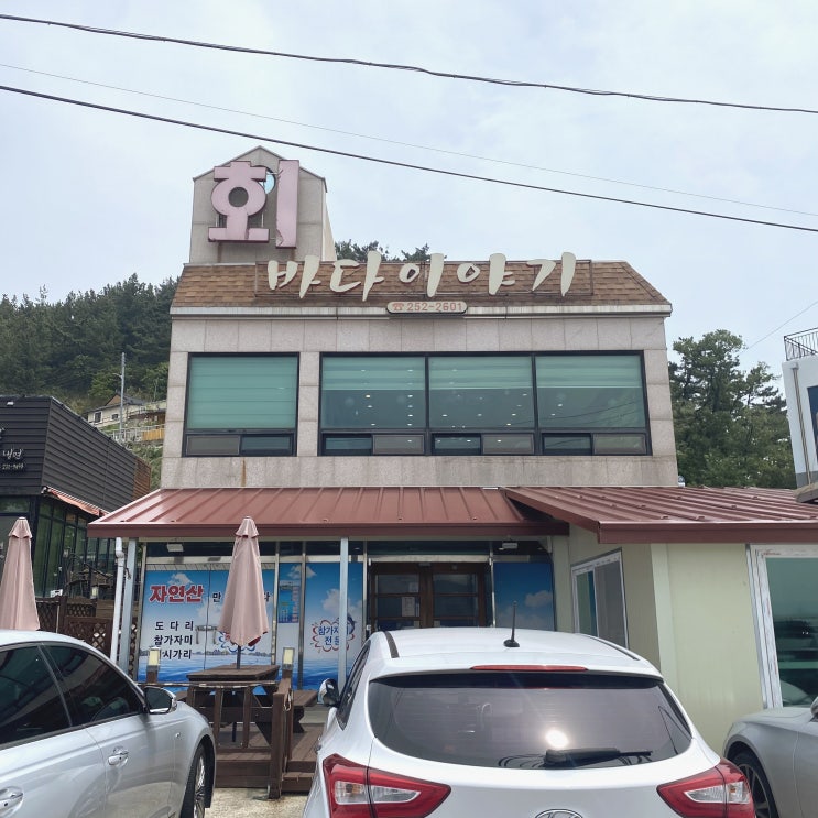 포항 영일대 바다이야기회식당 참가자미 물회맛집 회덮밥추천 환호공원 스페이스워크 맛집 네이버 블로그