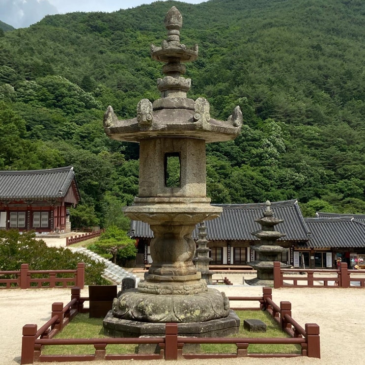 Jun 20 구례 화엄사 지리산 화엄사 구례여행코스 지리산을 품은 사찰 사찰여행 추천 구례여행지 추천