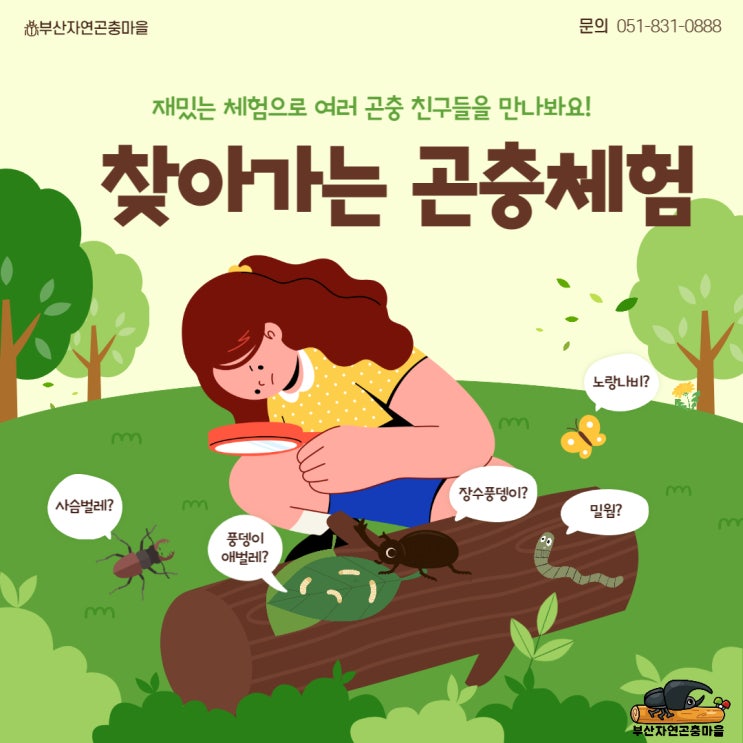 초등학생곤충수업어린이곤충체험 동래 명륜초등학교 친구들과 함께한 찾아가는곤충체험with 장수풍뎅이 네이버 블로그