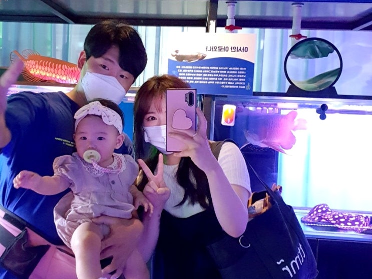 블챌 김포 몬스터리움 9개월아기와 아쿠아리움 가족나들이 네이버 블로그