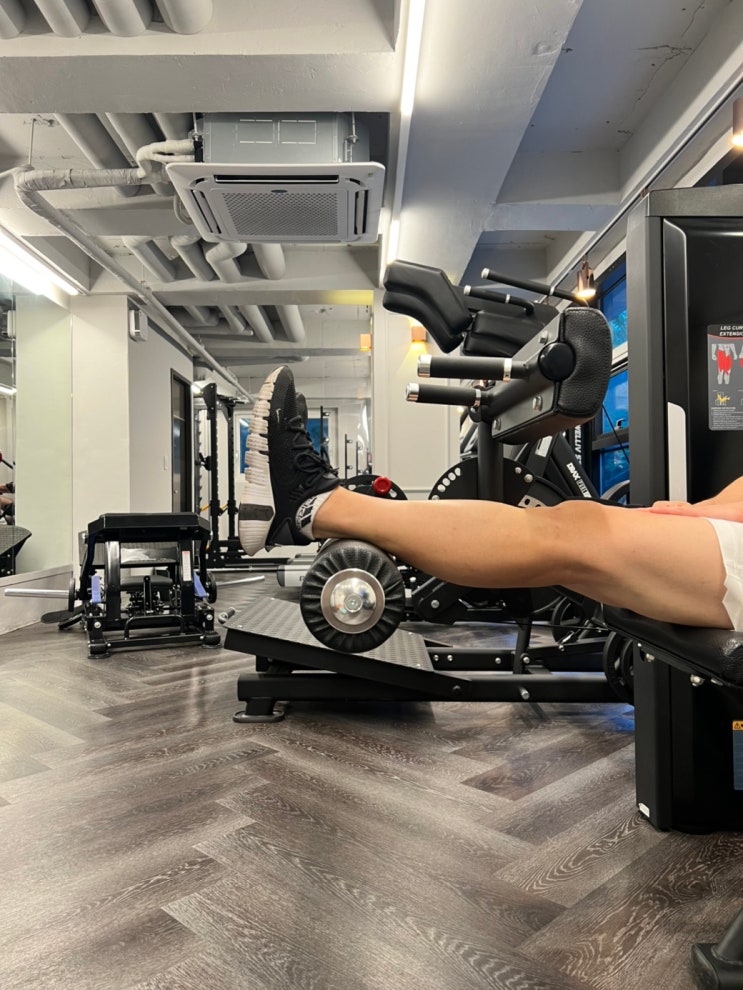 시티드레그컬에 대해서 알아볼까요~? : 네이버 블로그