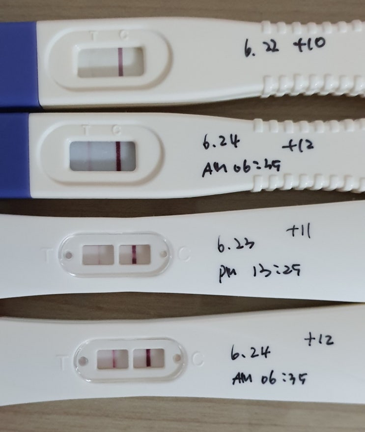 난임일기 11 시험관 2차 이식 후 피검사 수치 그리고 임신 주수 계산 네이버 블로그