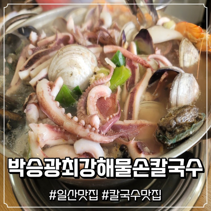 일산 먹방 여행 박승광 최강해물손칼국수 일산의 숨은 칼국수 맛집 일산맛집 일산여행 일산가볼만한곳 덕이동맛집