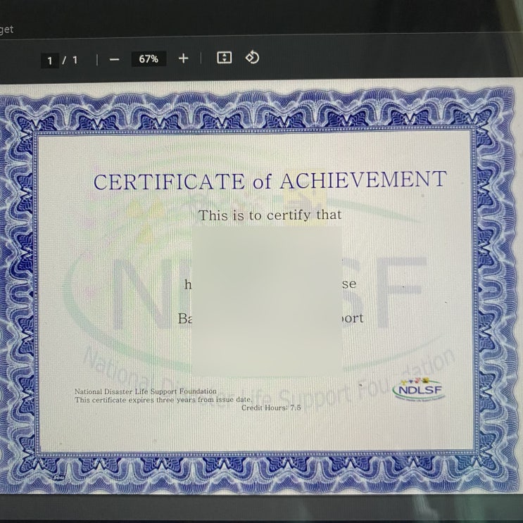 #01 BDLS(Basic Disaster Life Support) 자격증 | 취득 후기&과정 : 네이버 블로그