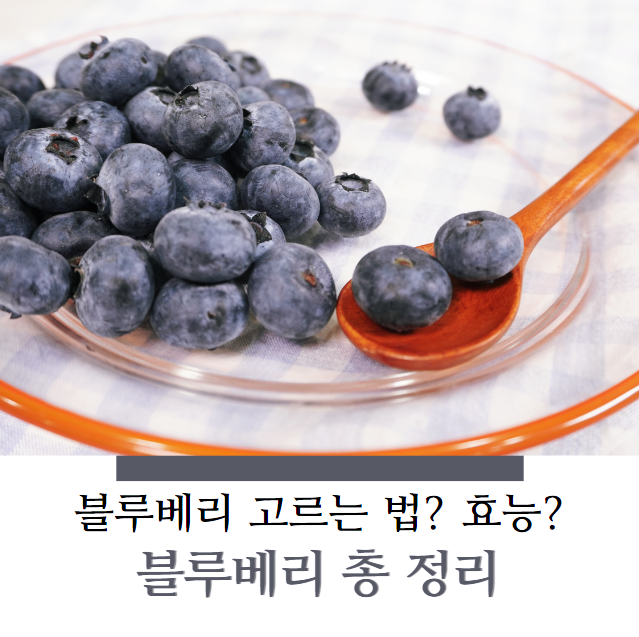블루베리 효능 고르는 법 보관법 활용하는 방법까지 네이버 블로그