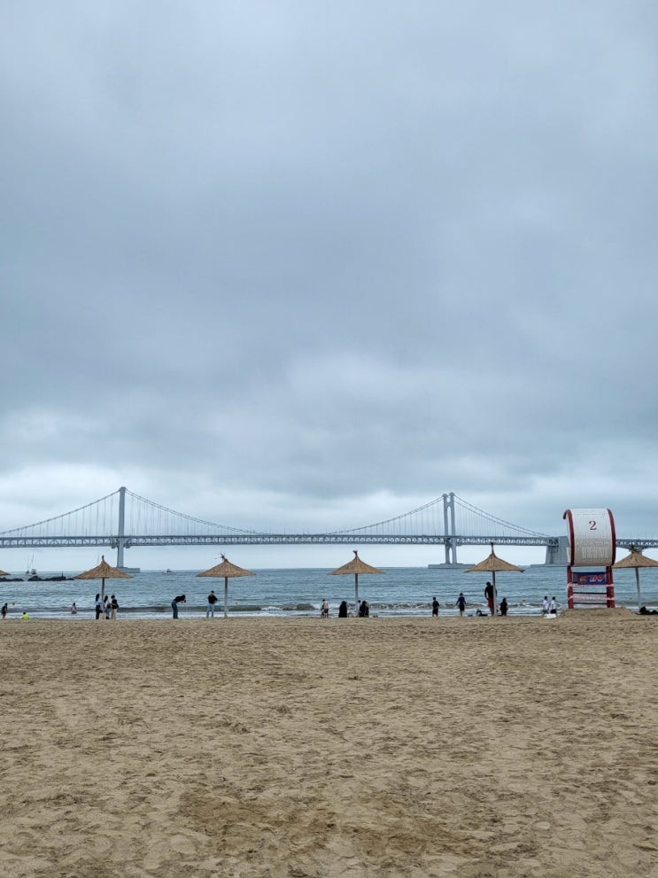 친구들과 1박2일 부산여행 ️‍🔥 : 네이버 블로그