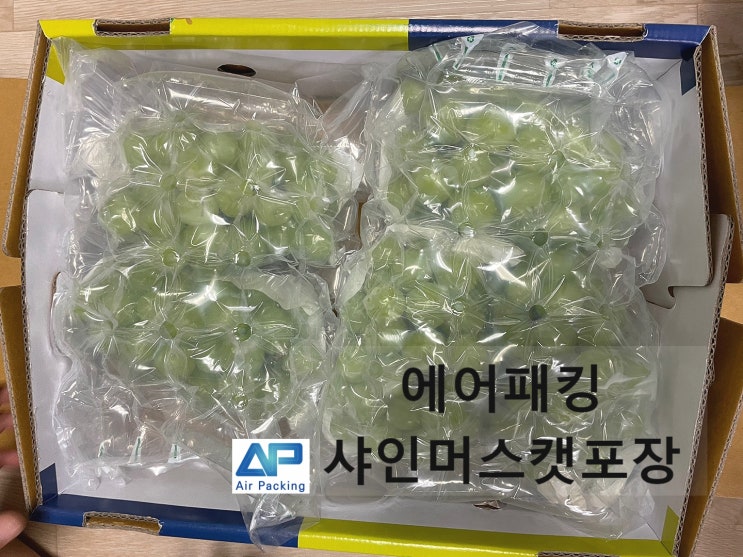 샤인머스캣택배포장샤인머스캣포도완충포장샤인포도포장재에어패키징포장법은 에어패킹 으로 간편하게 네이버 블로그