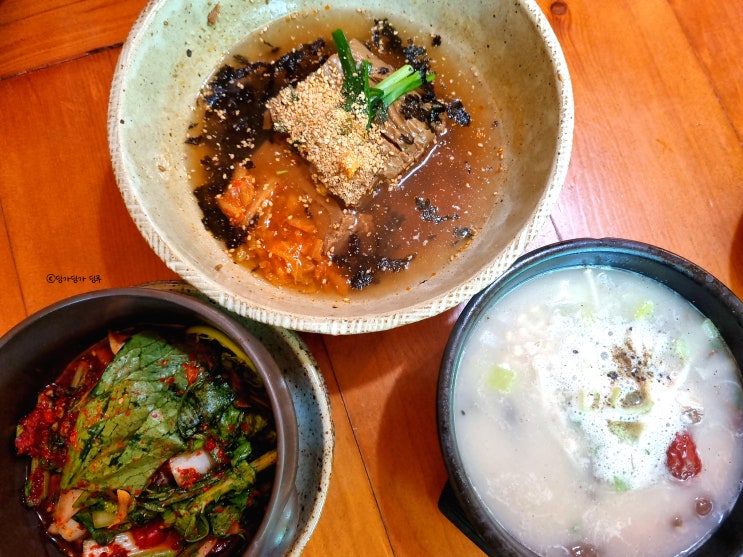 창원 가로수길한식 도토리친구 솔직후기 도토리 수제비 묵밥 맛집 네이버 블로그