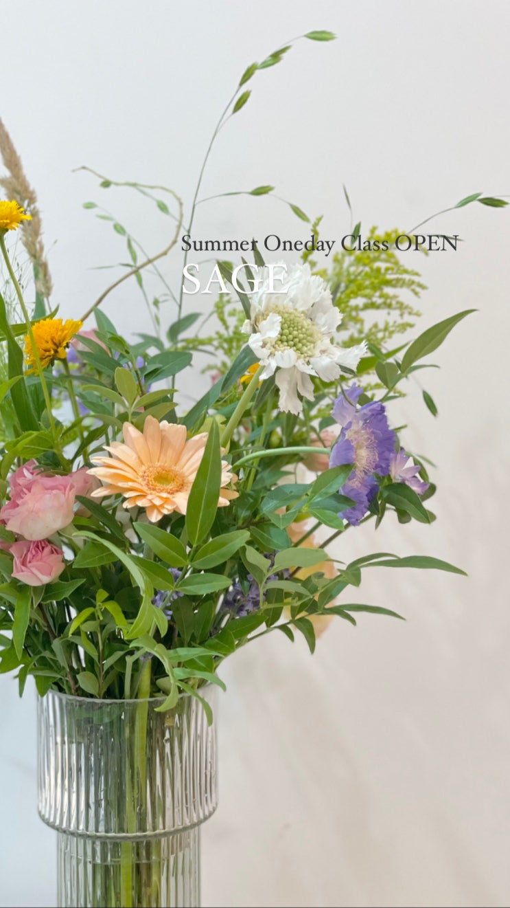 SAGE Summer Oneday Class OPEN! : 네이버 블로그