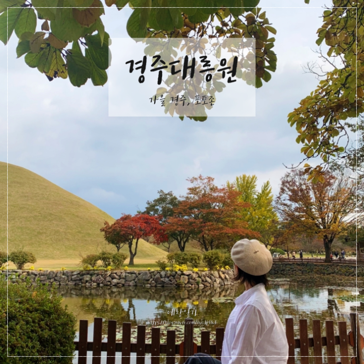 경주 가을 경주 여행 대릉원 포토존과 사진명소 황리단길 인생네컷 셀프스튜디오 네이버 블로그