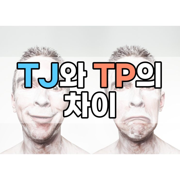 MBTI TJ와 TP의 실수별 차이! : 네이버 블로그
