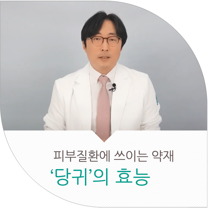 피부질환 외 다양한 질환 치료에 쓰이는 당귀에 대해서 알아볼까요 생기한의원 강남역점 박치영한의사 네이버 블로그