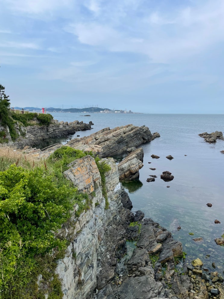 2022년 7월 1일 생명의 삶 큐티, 시편 27편 1절~14절, 두려움으로 위축될 때 '주님 얼굴'을 구하십시오 / 아침 큐티 ...