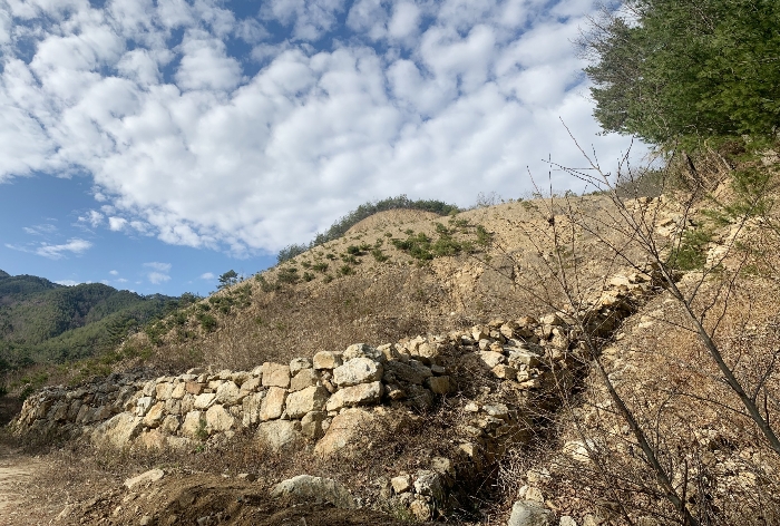 [삼척시 원덕읍 토지(임야) 경매] 2021타경33403 : 네이버 블로그