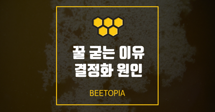 꿀에 대해 제대로 알기 2탄 꿀이 굳는 이유 결정화 되는 이유ft꿀 결정화 현상 꿀효능 마누카꿀 추천 벌집꿀 사는