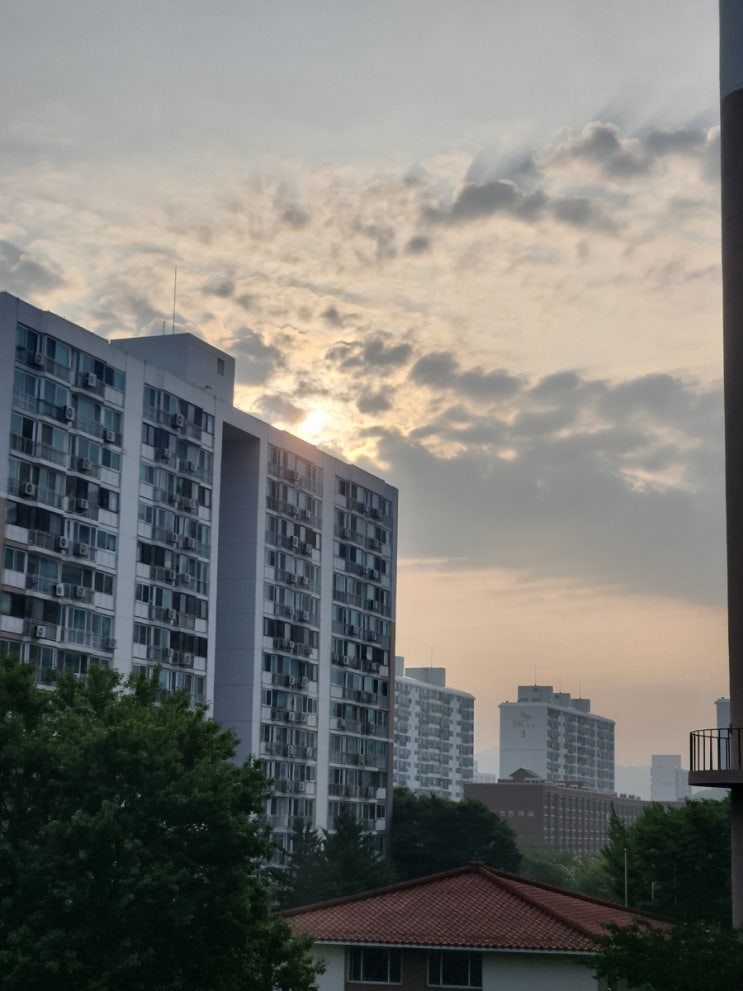 7월 주간일기 시작:: 깔끔한 시작, 좋아요 좋아! : 네이버 블로그