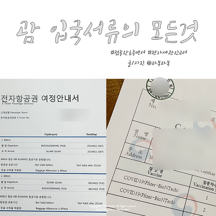 괌 입국서류준비 완벽정리 백신접종증명서 괌전자세관신고서 Cdc서약서 네이버 블로그
