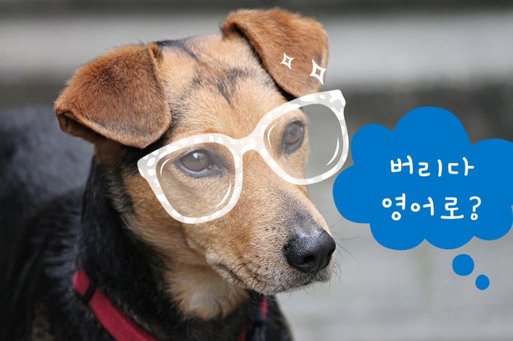 쓰레기를 버리다 영어로 throw away, throw out, take out : 네이버 블로그