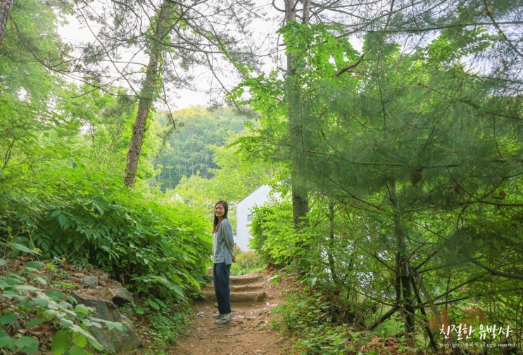 홍천 숙소 힐리언스 선마을 숲캉스 힐링여행 후기 : 네이버 블로그
