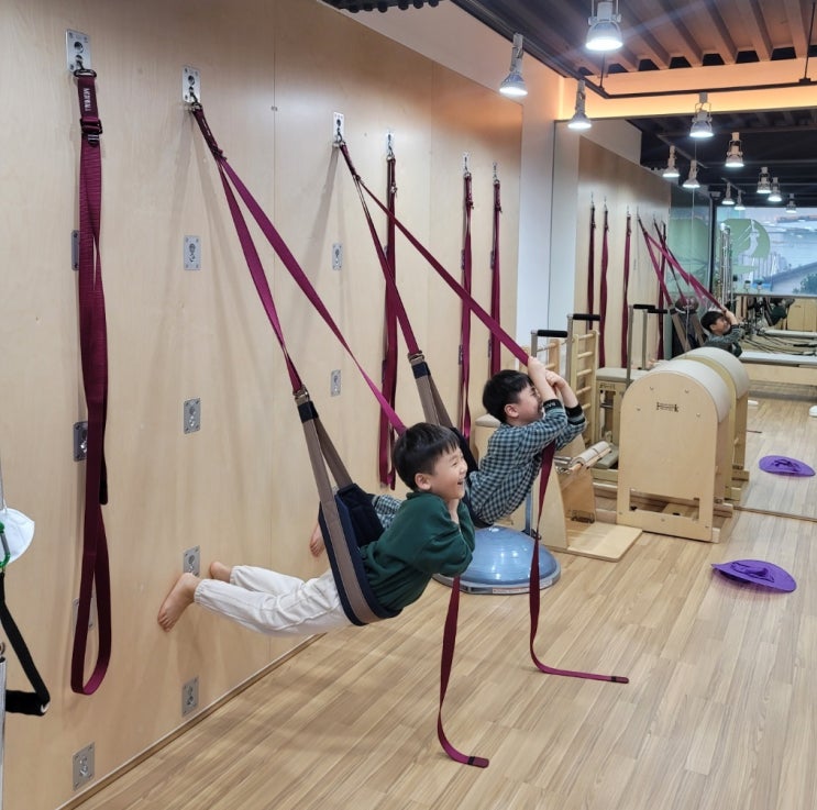 월정복자 다옴 원장님의 찐추천 메디월 요가동작 아누비따나사나 ☞《이미정 다옴메디월필라테스》 네이버 블로그