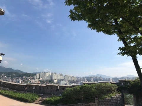 7월과 함께 : 네이버 블로그