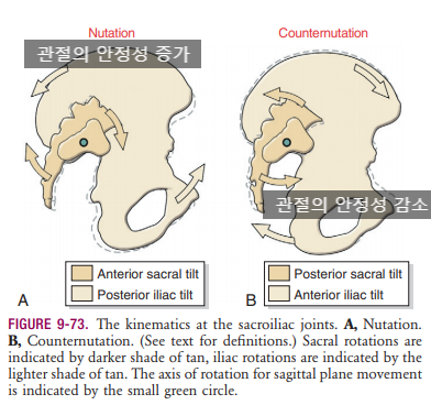 골반의 움직임 Nutation, CounterNutation / 천장관절의 좋은정렬이란? : 네이버 블로그
