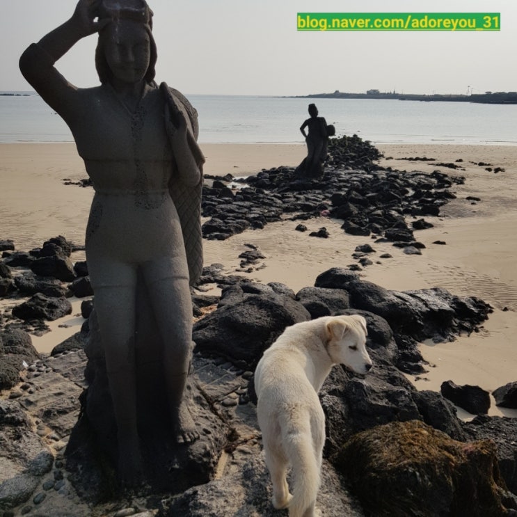 2박3일 제주동쪽여행 우도 하고수동해수욕장 비양도 네이버 블로그