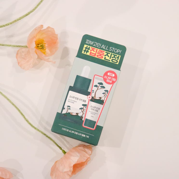 라운드랩 소나무 진정 시카 앰플 올리브영 기획세트로 크림까지 만나보세요 네이버 블로그