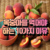 건강상식 복숭아의 효능과 영양성분 10가지 복숭아를 먹어야 하는 이유 네이버 블로그