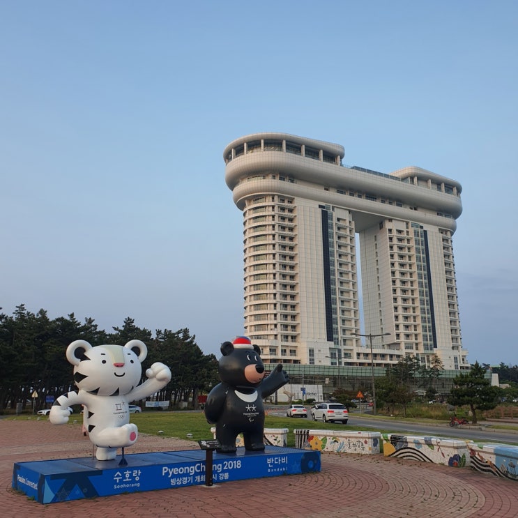스카이베이 경포 인피니티풀이 있는 강릉호텔 Ι 이그제큐티브 더블 오션뷰 네이버 블로그