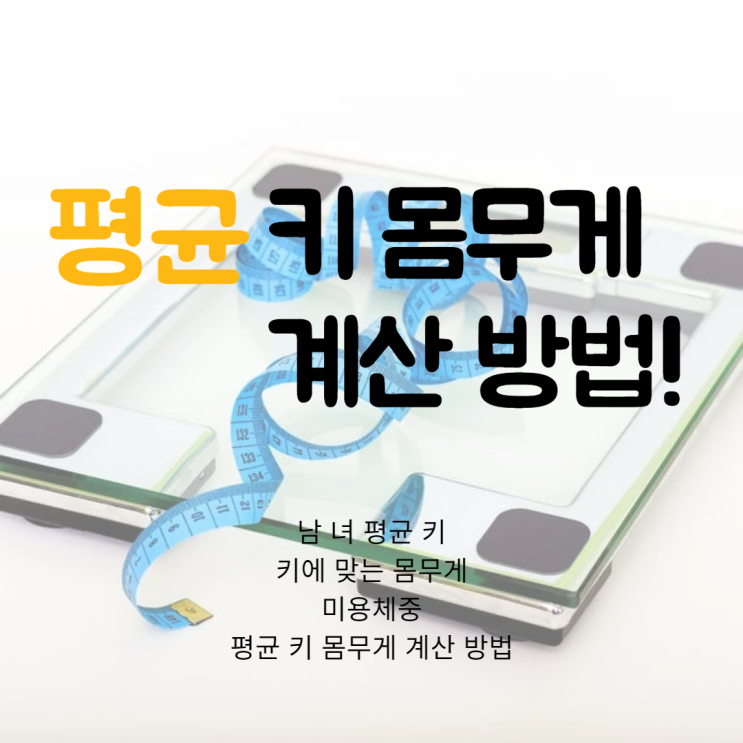 평균 키 몸무게 계산기 사용법 및 사이트 총정리 네이버 블로그