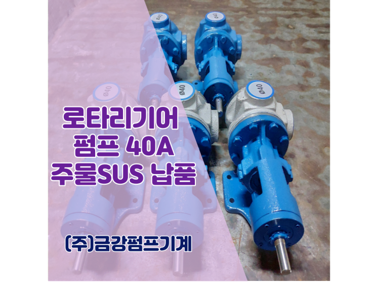 Rotary gear pump/gear pump/40A/주물SUS/펌프납품 : 네이버 블로그