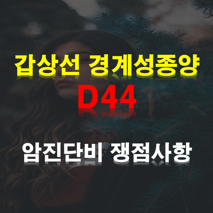 갑상선 경계성종양 NIFTP D44 쟁점사항 : 네이버 블로그