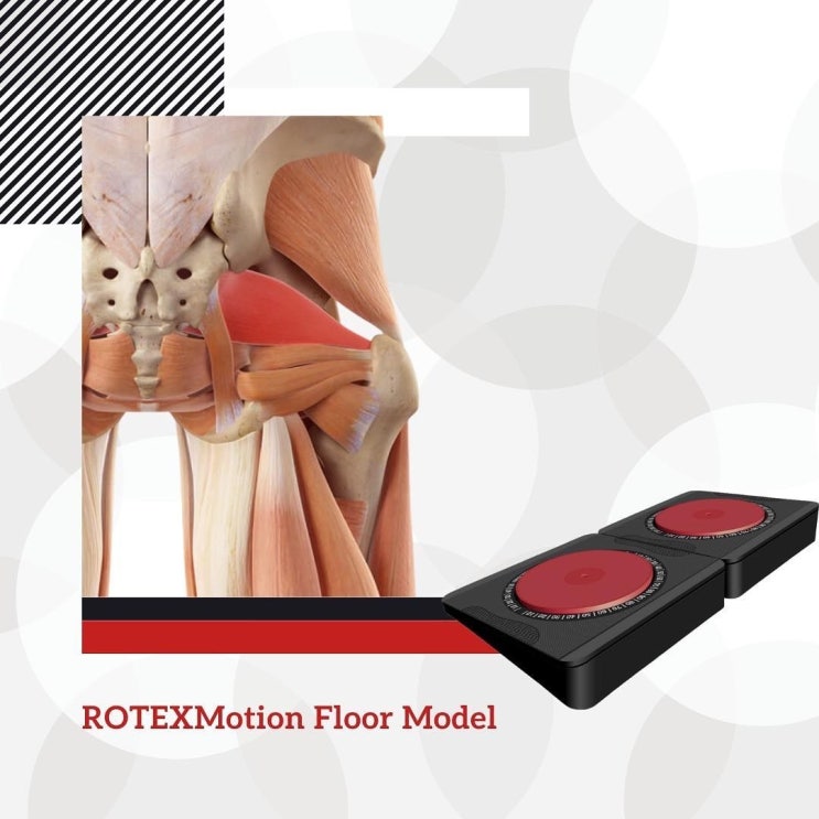 로텍스 모션 플로어 모델 ROTEX MOTION : 네이버 블로그