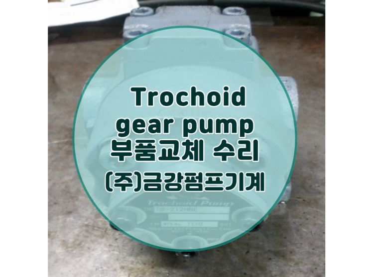 트로코이드/기어펌프/Trochoid/로타리기어펌프/gear pump/유압펌프/Rotary gear pump/펌프수리/안산펌프 ...