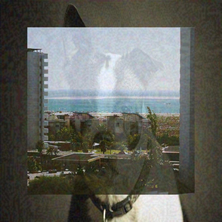 Elementary school students who wailed after the winter vacation ...