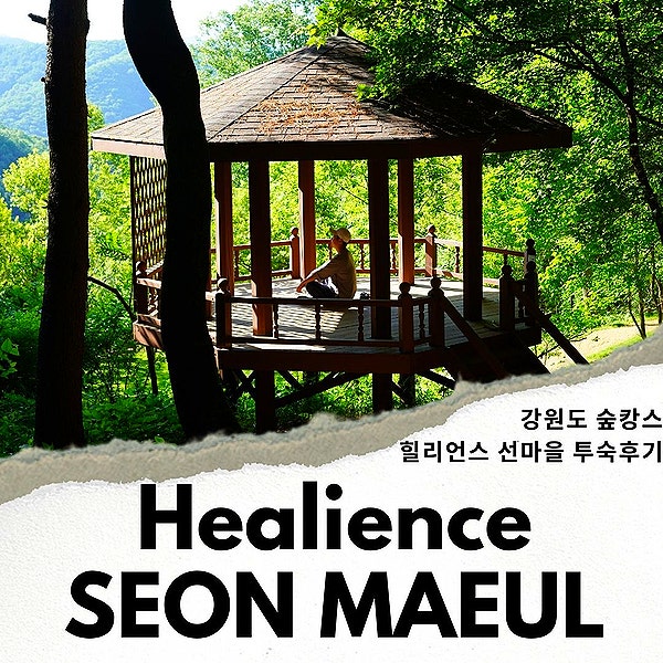 강원도 숙소 홍천 힐리언스 선마을 숲캉스 체험형 힐링 리조트 네이버 블로그