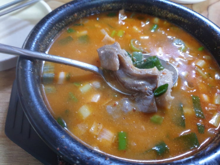 춘천맛집동부시장해장국내장탕금자네해장국덕산박철수교수맛집박철수교수맛집한림성심대학교수시모집방사선과방사선학과입학홍보