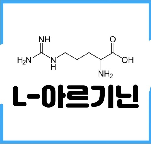 부산헬스 토성헬스 부민동헬스 워너짐 워너짐부민점 연중무휴 부산 헬스장 아르기닌 효능과 부작용 네이버 블로그