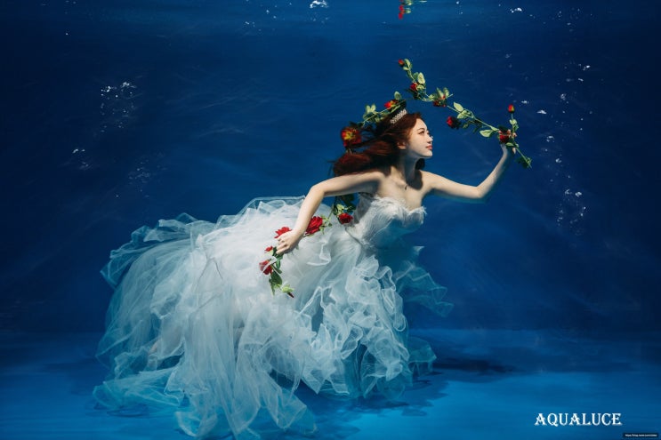 수중 촬영 맛집 : 네이버 블로그