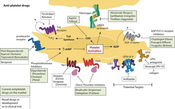 항혈소판제 antiplatelet agents - ⑤ PDE3 inhibitors : 네이버 블로그