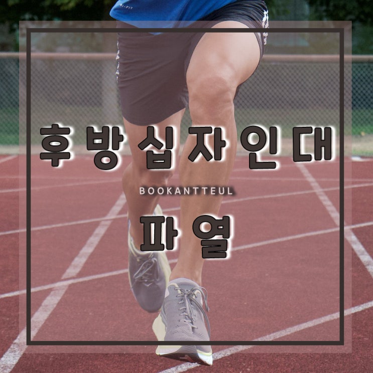 후방십자인대 파열 평지를 걸을 땐 몰라 네이버 블로그