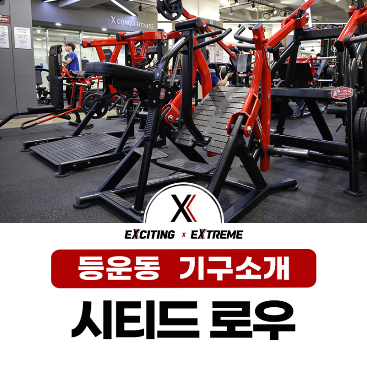 노량진 헬스장 등운동은 머신이지 시티드 로우 운동기구 사용법 네이버 블로그
