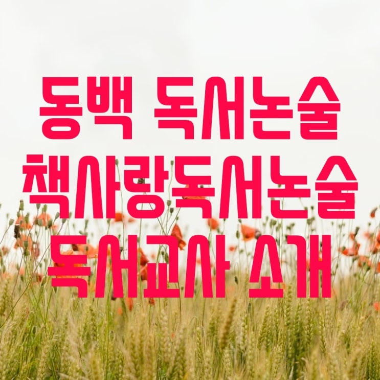 나는공부하라말하지않는다 명문대보낸비법 용인동백 국어독서논술 책사랑 국어독서논술 동백마인드맵교실 맘코칭연구소 독서교사이자 작가